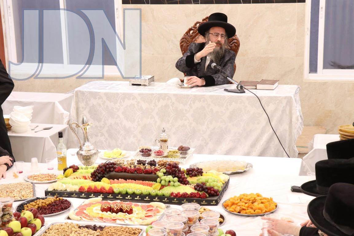 יִהְיוּ כְּמוֹתְךָ • ט''ו בשבט בחצה''ק ביאלא בית שמש - JDN